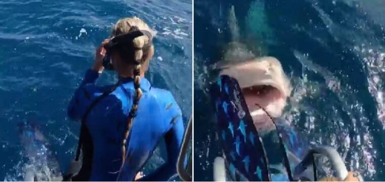 Biologa en Hawai entró al mar y casi es devorada por tiburón