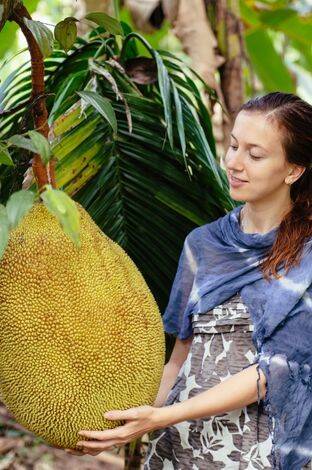 Yaca: beneficios de la fruta