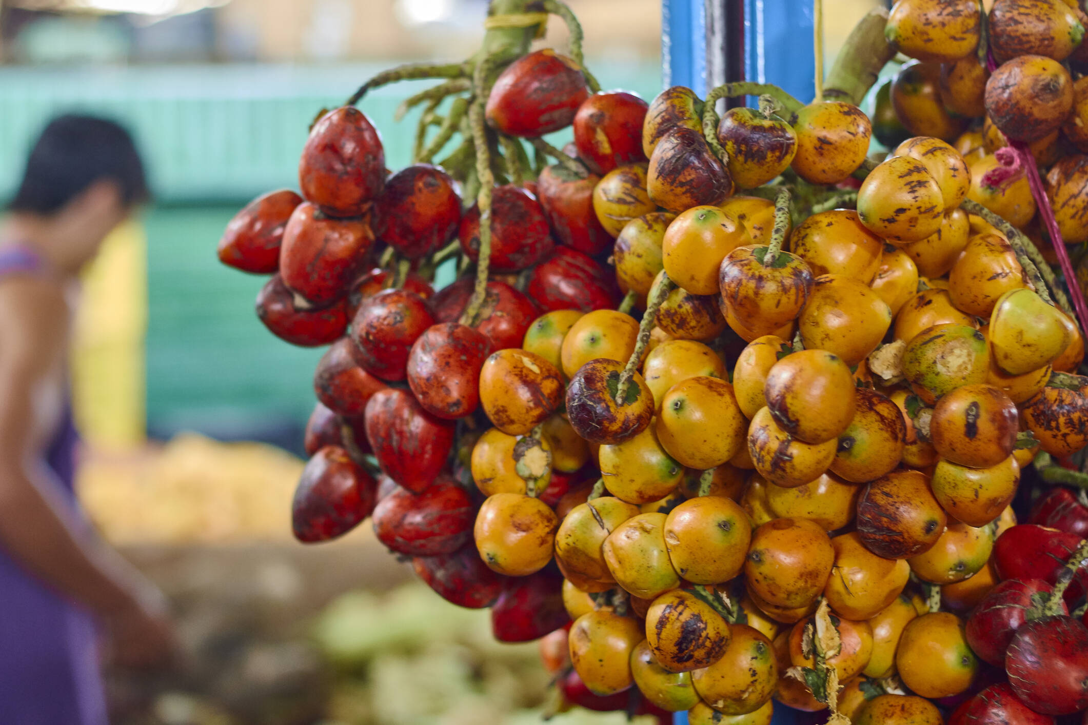 Chontaduro: beneficios de esta fruta