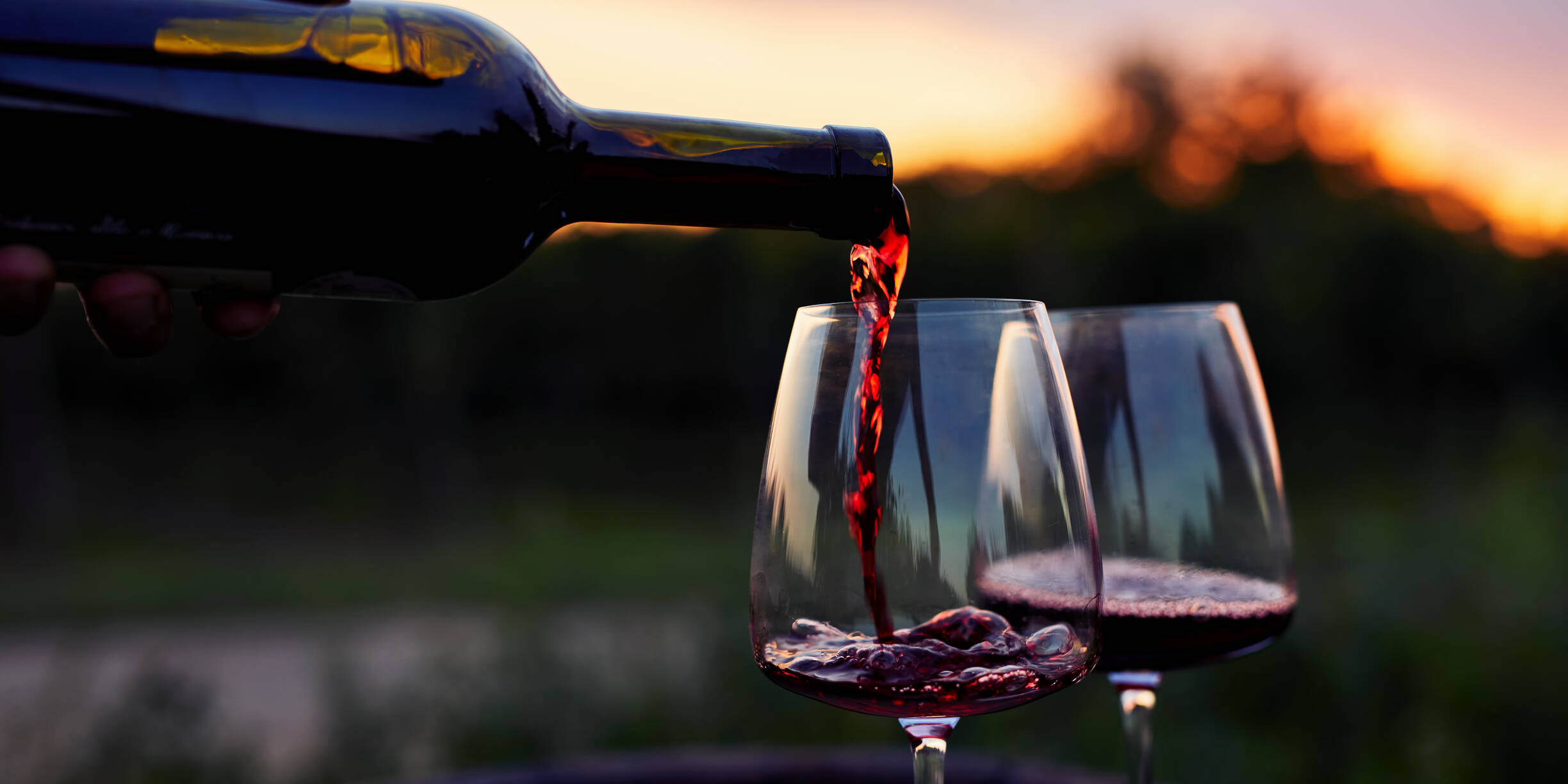 Cinco cavas de vino imperdibles en Bogotá
