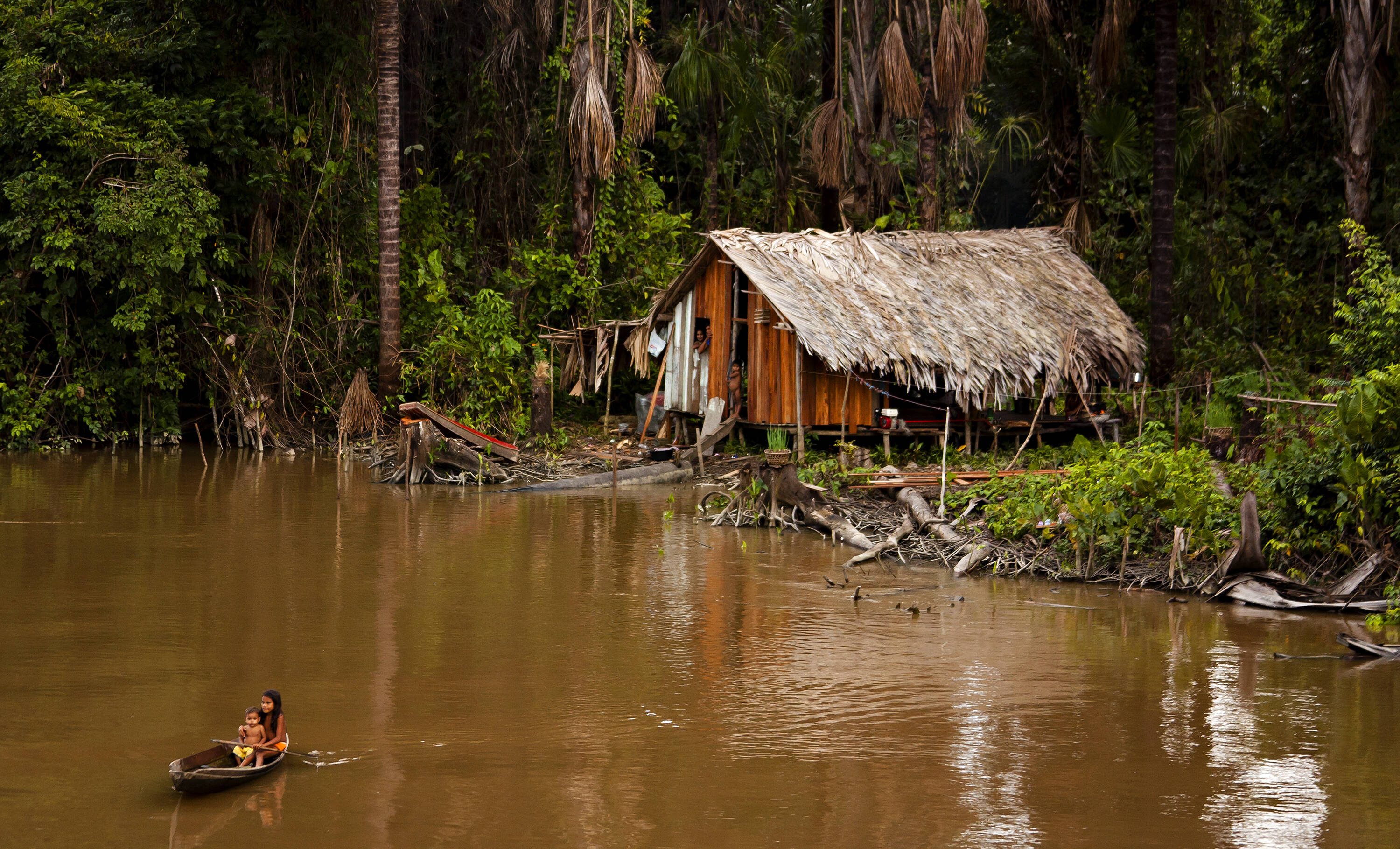 Amazonas: consejos para viajar a la selva colombiana