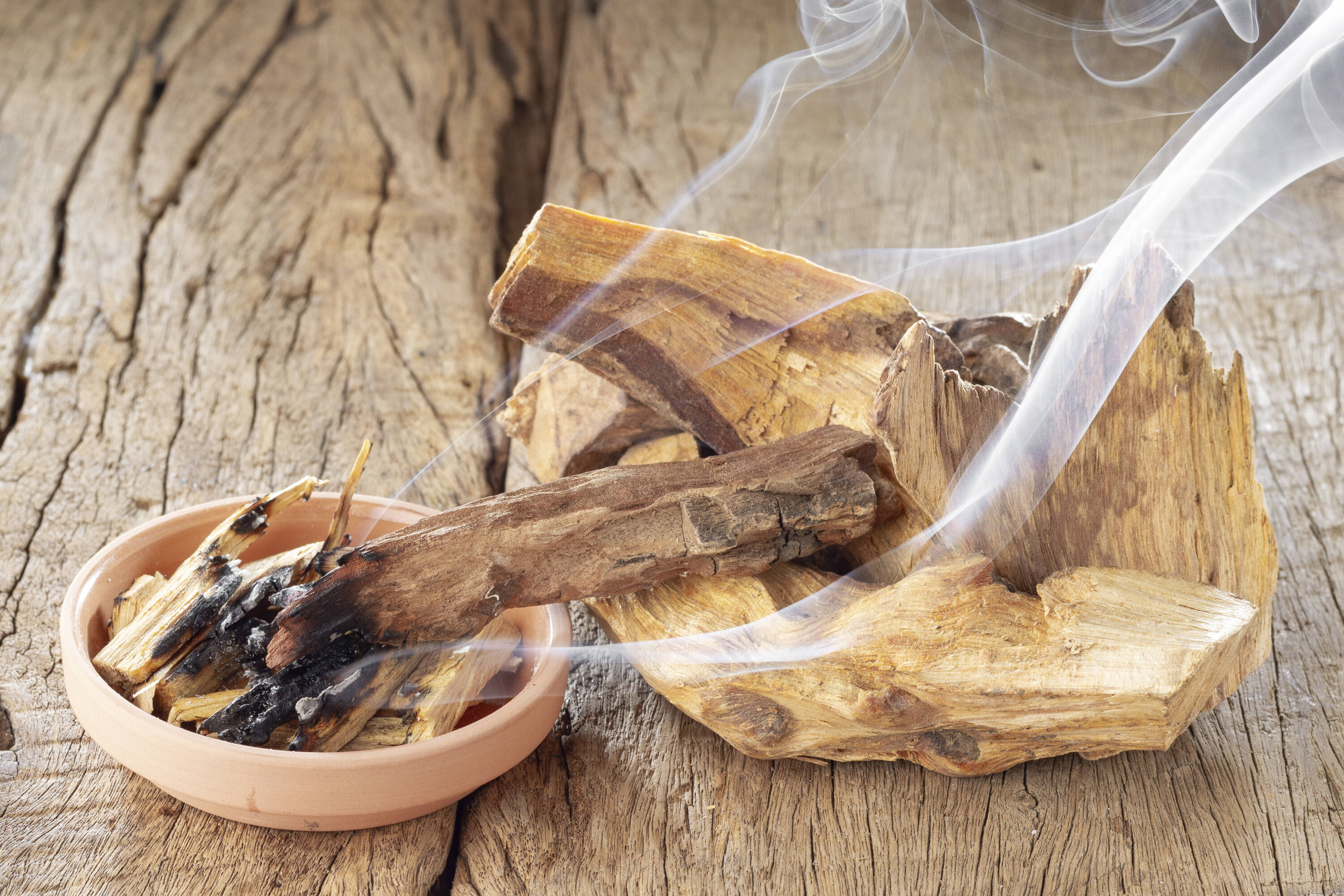 Palo Santo: ¿Cuáles son sus usos y beneficios en casa?