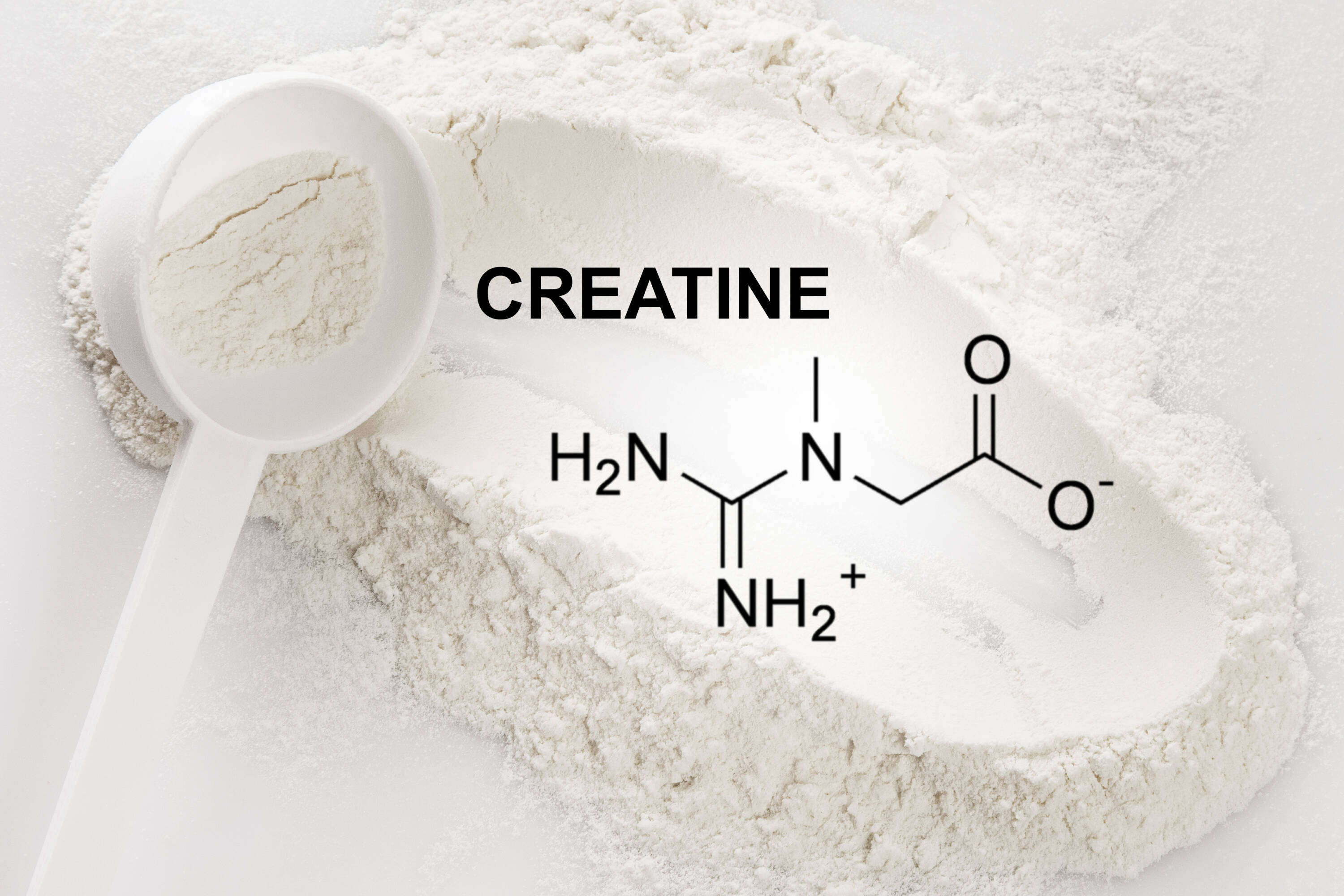 ¿Cuál es la diferencia entre creatina monohidratada y micronizada?