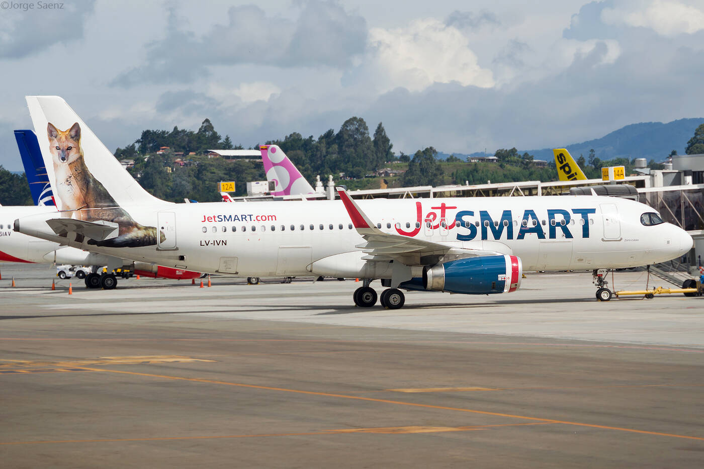JetSmart lanzó promoción en vuelos nacionales desde $ 68.100 por ...