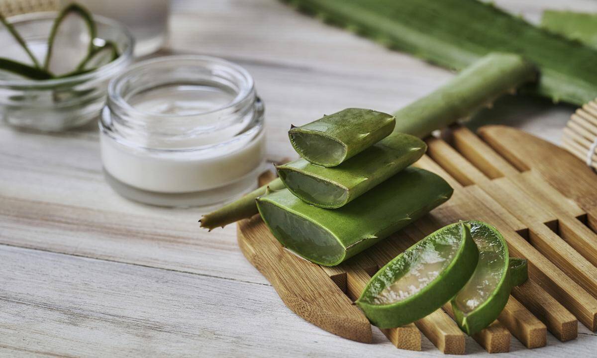 ¿Qué pasa si me aplico aloe vera en la cara todos los días? Los efectos ...