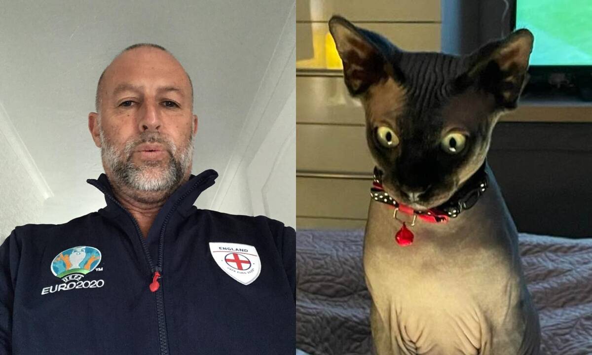 Tropezó con su gato y terminó hospitalizado con lesiones