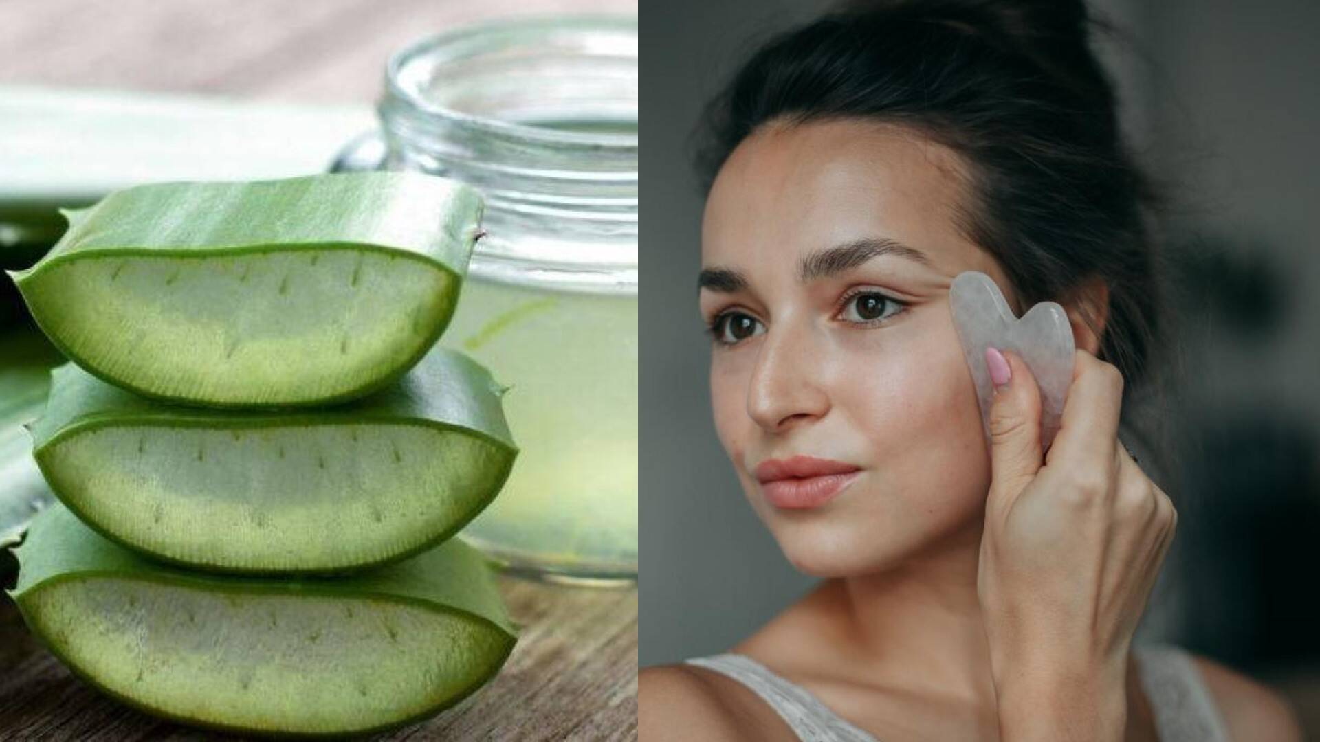 Usos y beneficios de la sábila