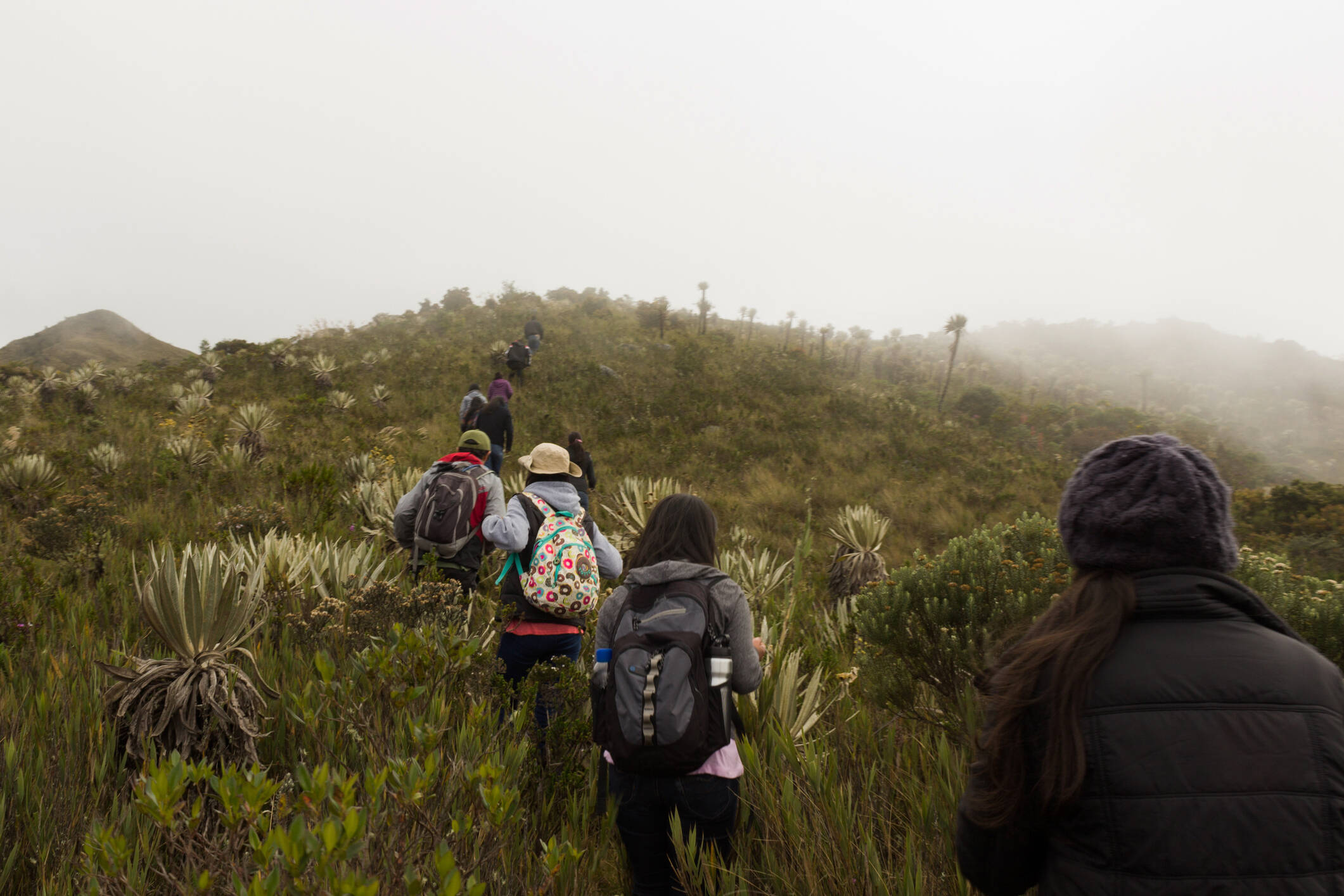 Chingaza: cómo llegar y recorrer el parque natural