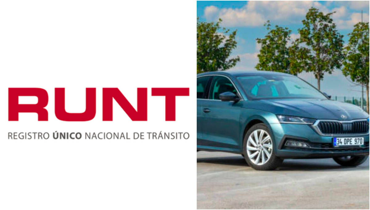 ¿Qué se registra en el Runt?