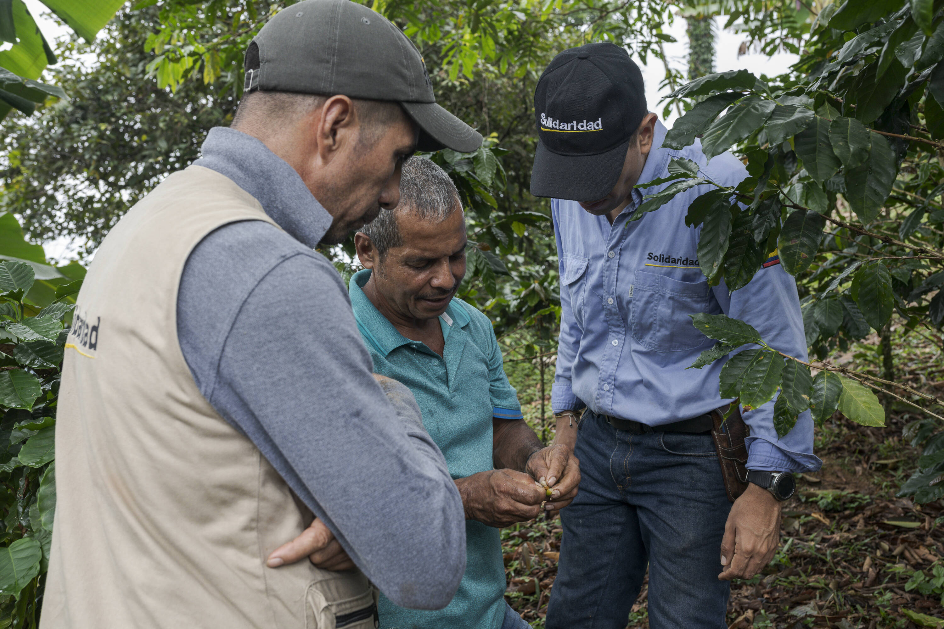 Amazonia Connect: ¿En qué consiste este proyecto desarrollado en Caquetá?