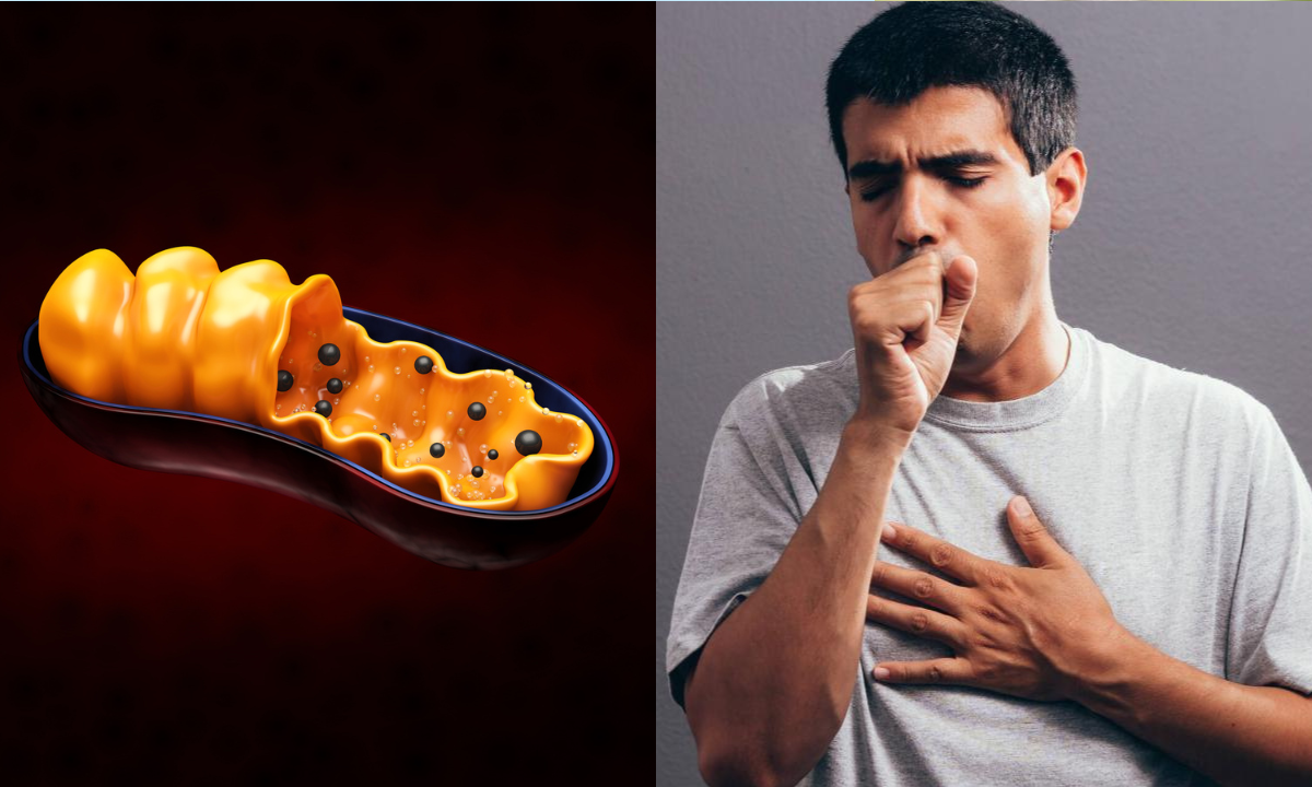 ¿Qué produce la enfermedad mitocondrial?