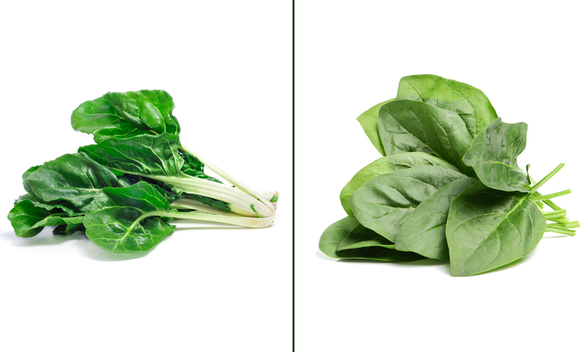Acelga: ¿qué diferencia hay entre la acelga y la espinaca?
