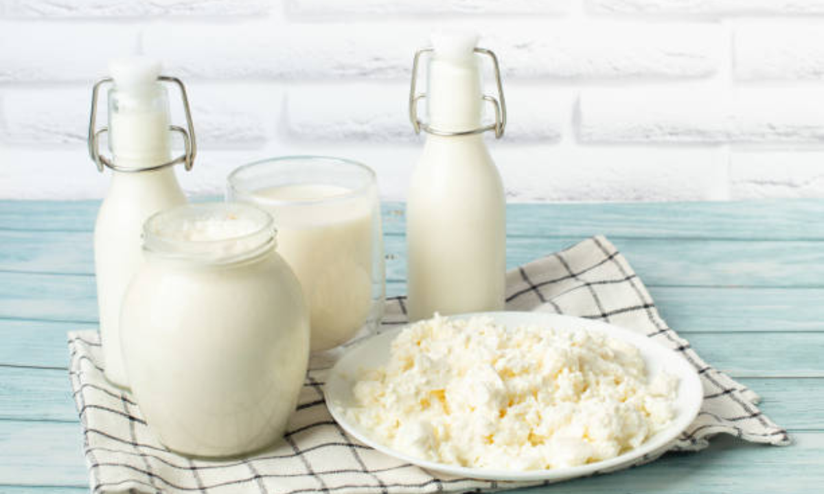 Cabras: ¿Qué productos se elaboran con leche de cabra?