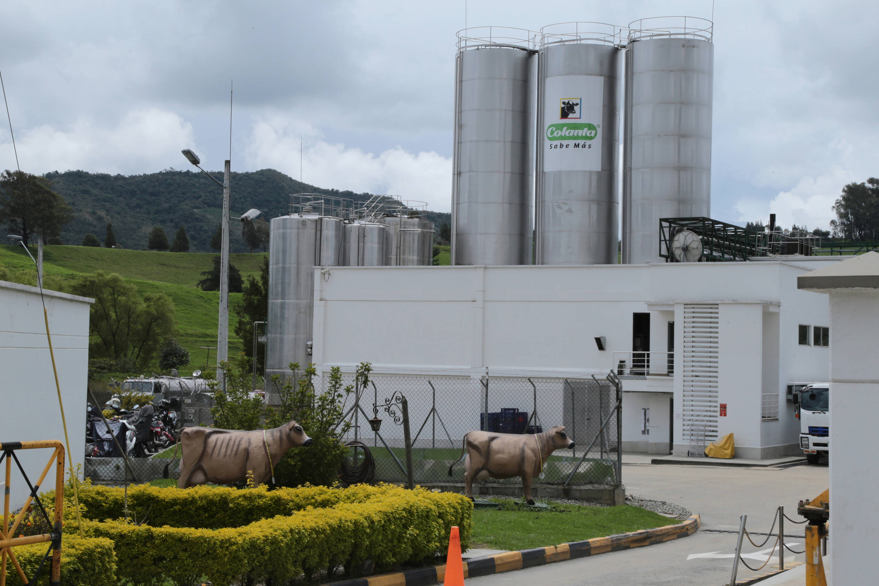 Colanta anuncia nuevas oportunidades laborales con sueldos de hasta 9 ...