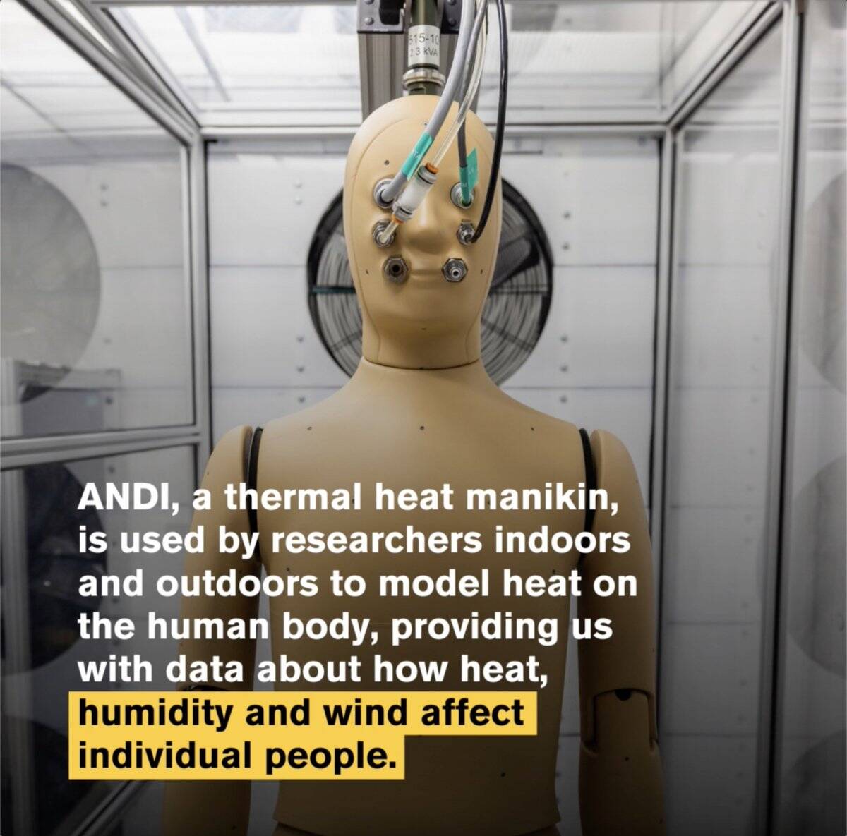 Conozca a Andi, el primer robot con fisiología humana, puede sudar y ...