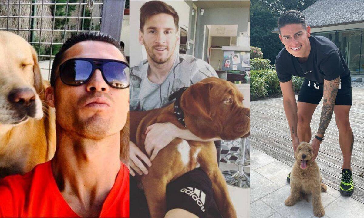 Conozca las mascotas de Cristiano Ronaldo y otros jugadores de fútbol