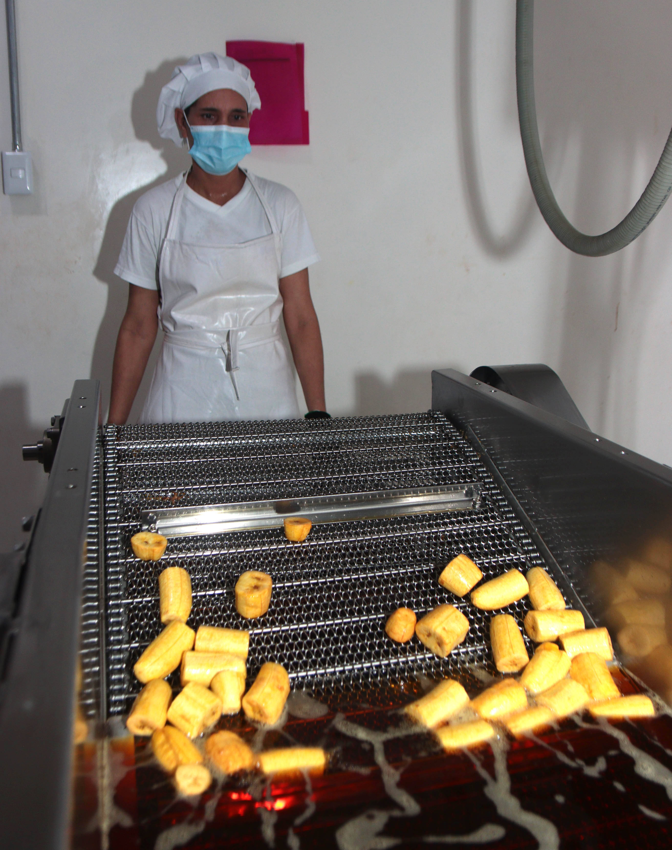 La exitosa historia de Mr. Patacón, fábrica exportadora de patacones en ...