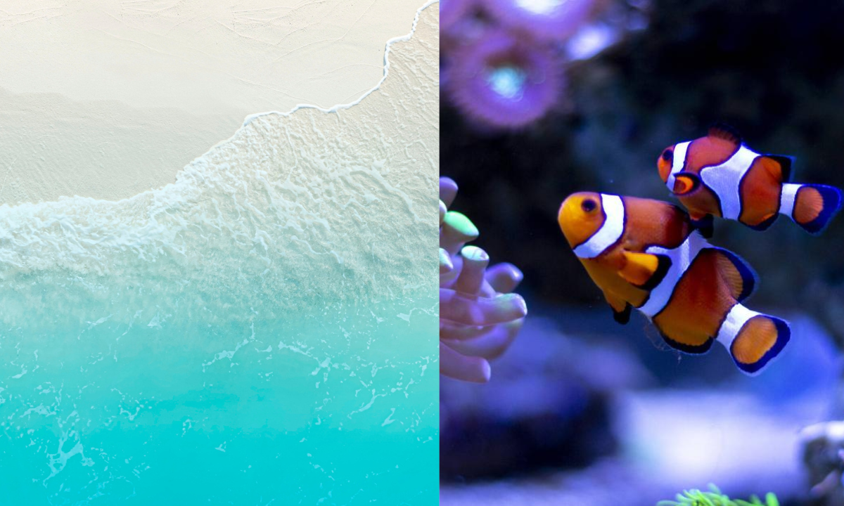 ¿Dónde se puede bucear en Colombia?