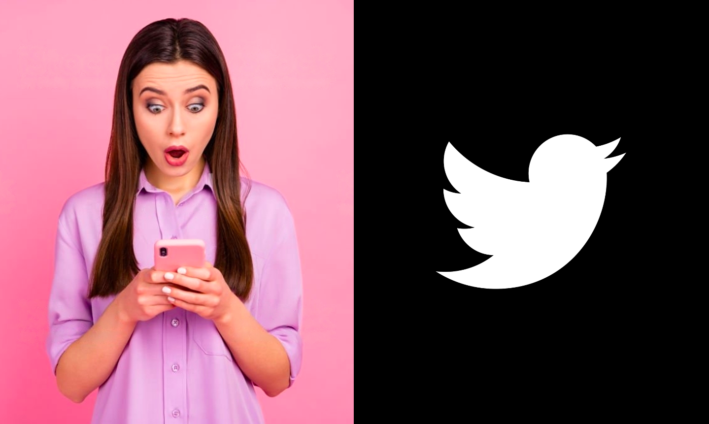 Logo de Twitter: asì ha cambiado a lo largo de los años