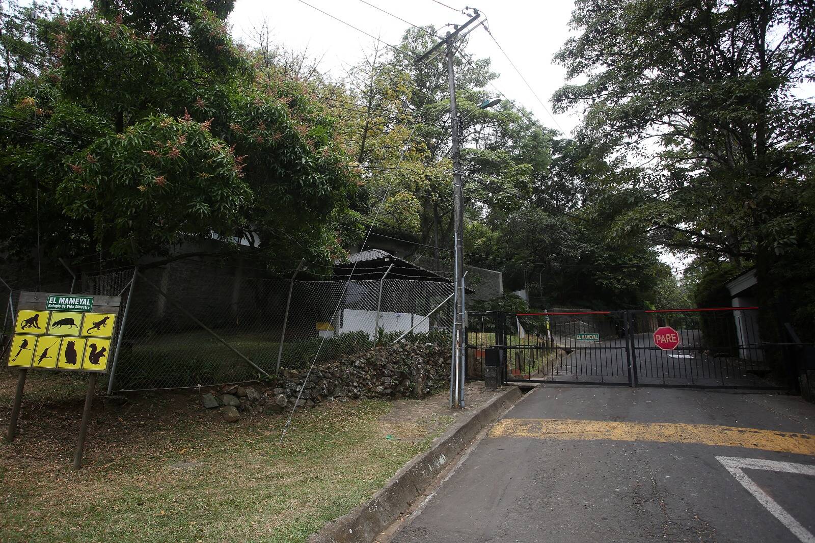 Luz Mery Tristán, EN VIVO: así sucedieron los hechos de la muerte de la expatinadora