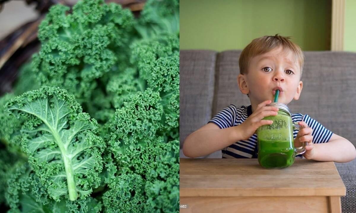 Sulforafano: la molécula que está en algunos alimentos y ayudaría a ...