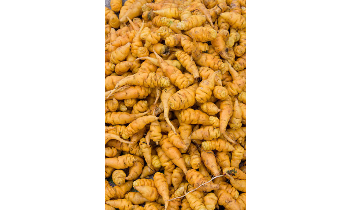 A comer cubios: ¿qué aportes tiene para la salud y por qué son tan ...