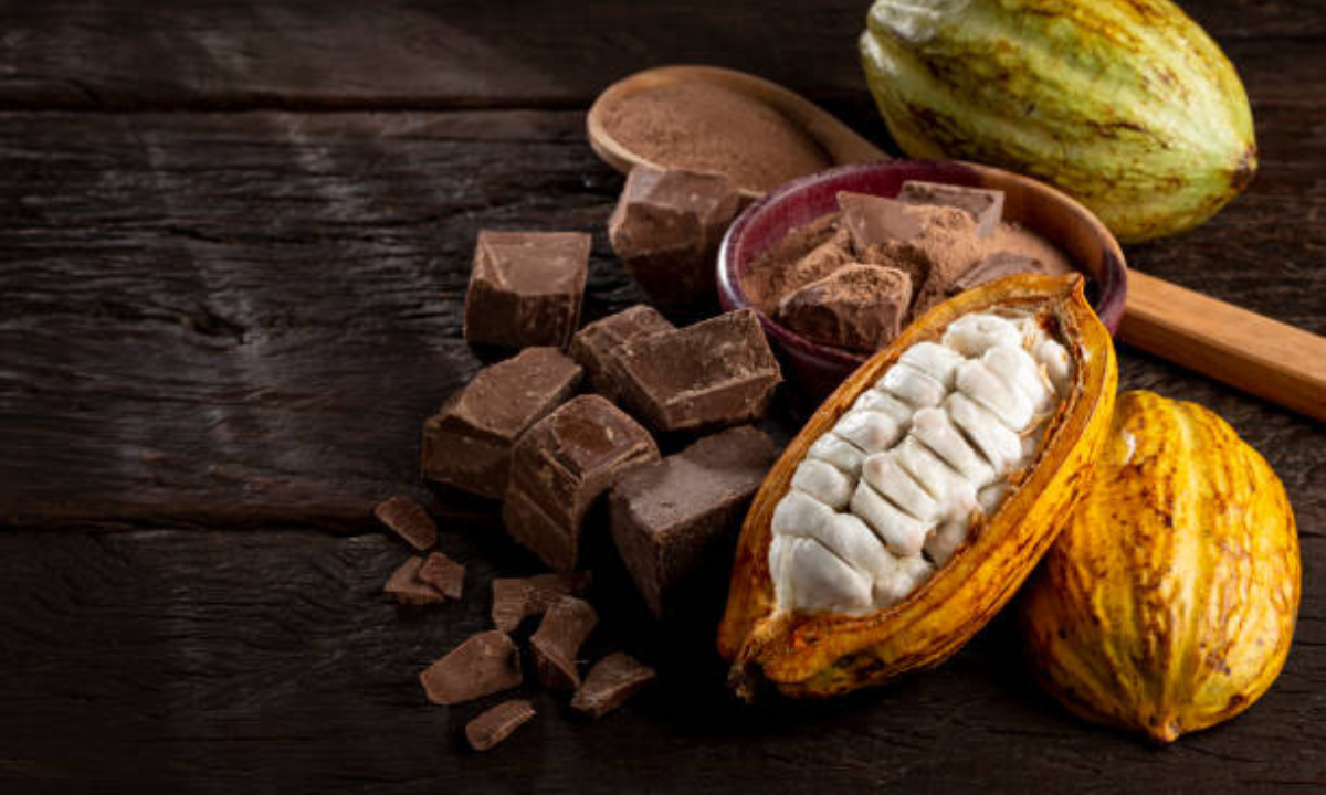 Museo del chocolate cerca a Bogotá: dónde queda y los horarios para ...