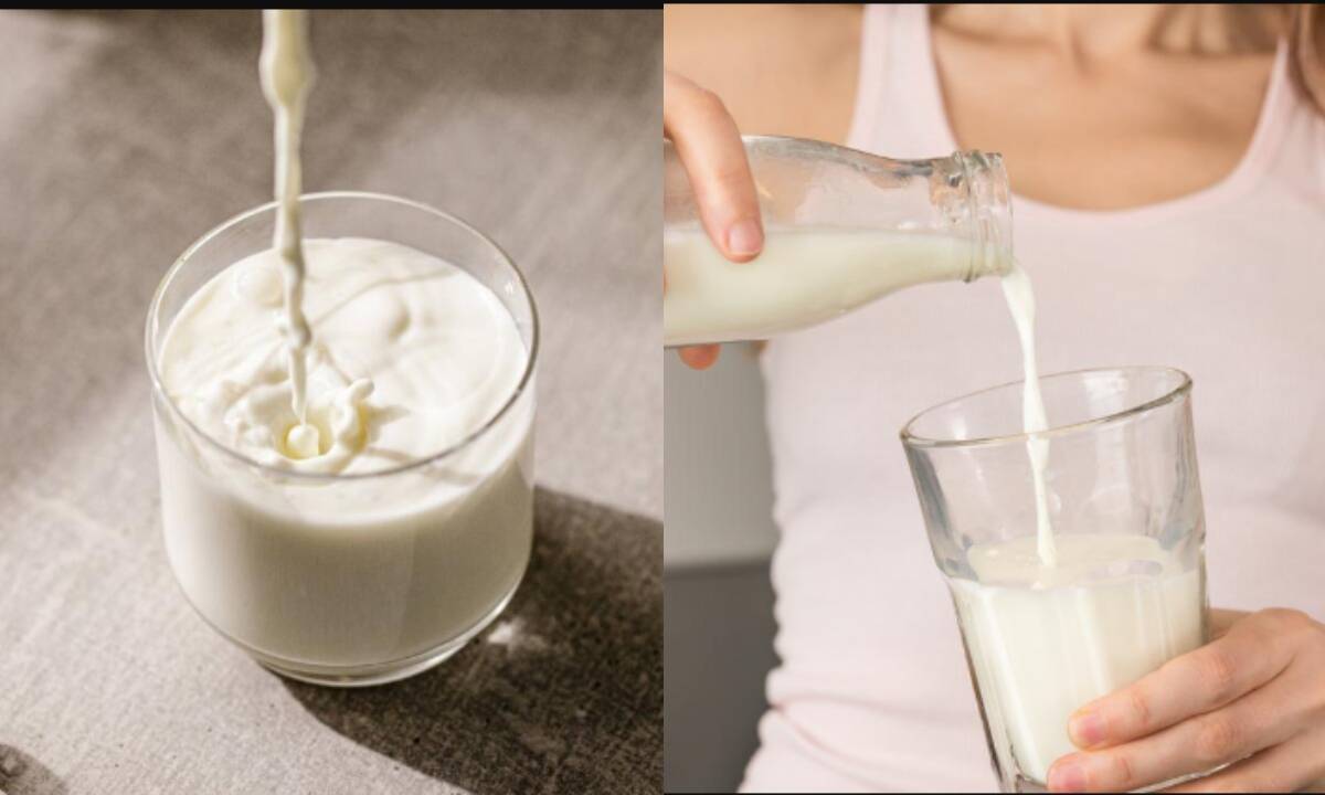 Leche: ¿es una bebida saludable o es perjudicial para la salud?