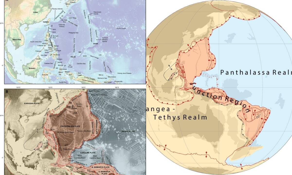 Pontus: científicos encuentran parte de la placa tectónica desaparecida ...