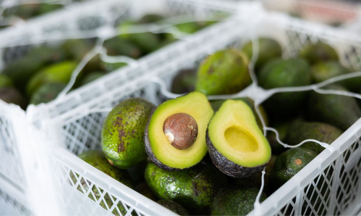 ¿Cuál es la mejor fruta para el cuidado del cabello? Evita la caída y ...