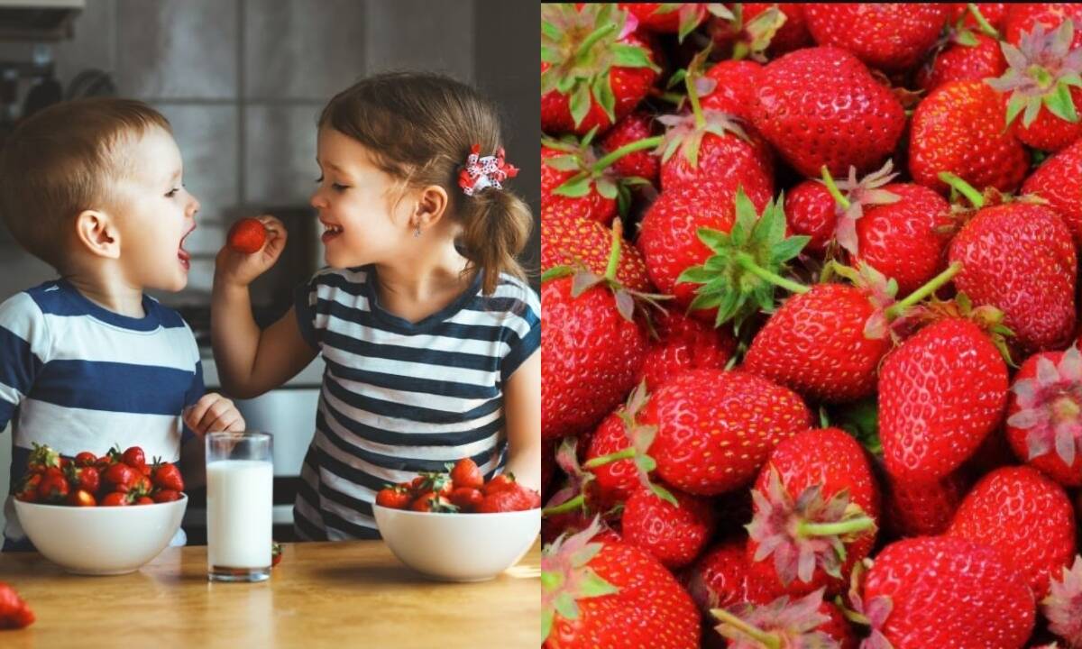 ¿Qué beneficios tiene el consumo de fresas en la salud de los niños?