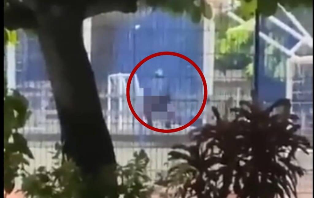 Video Pareja Tiene Sexo En Parque De Barranquilla Frente A Presencia De Niños