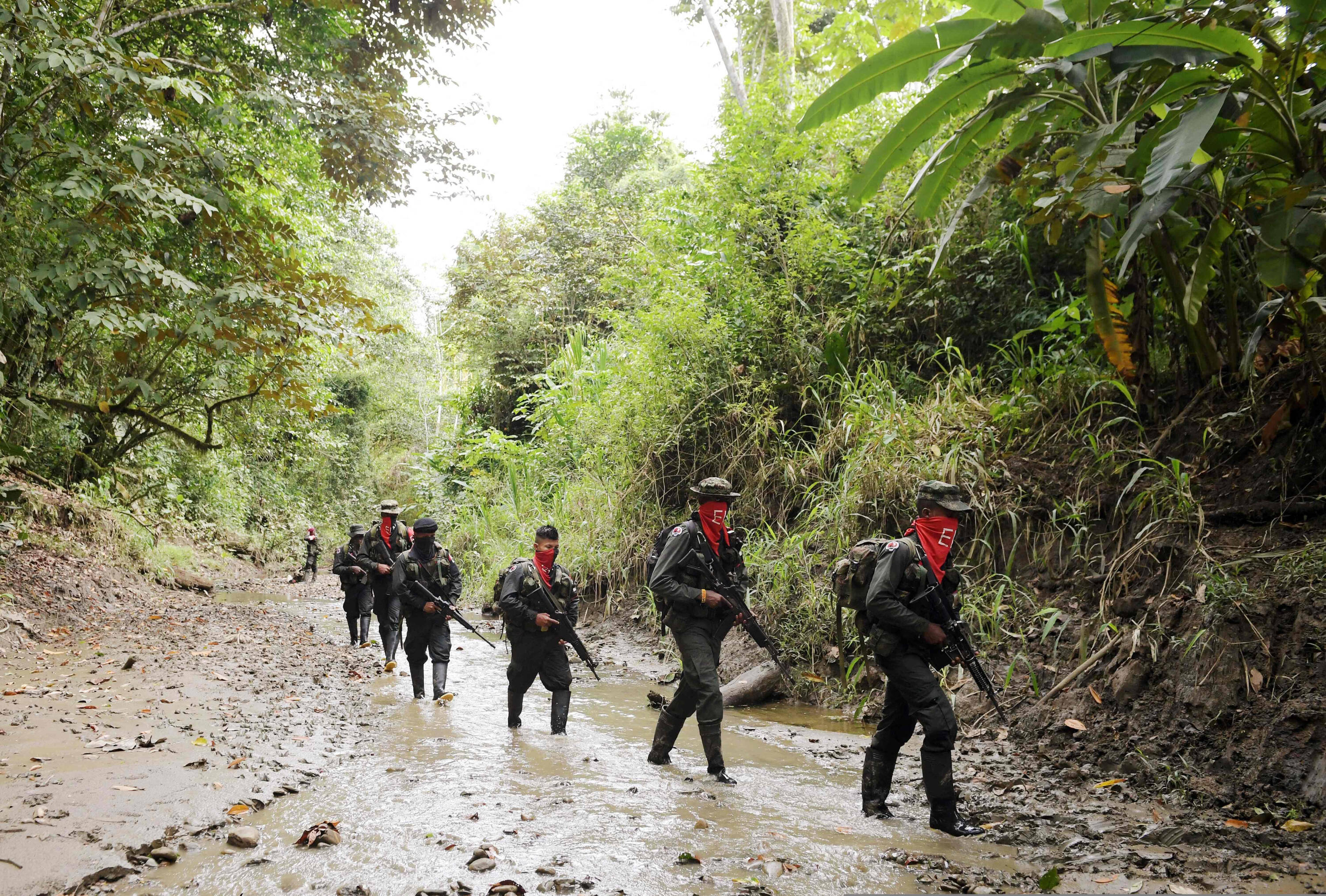 Eln justifica orden de paro armado en Chocó: población pide ayuda