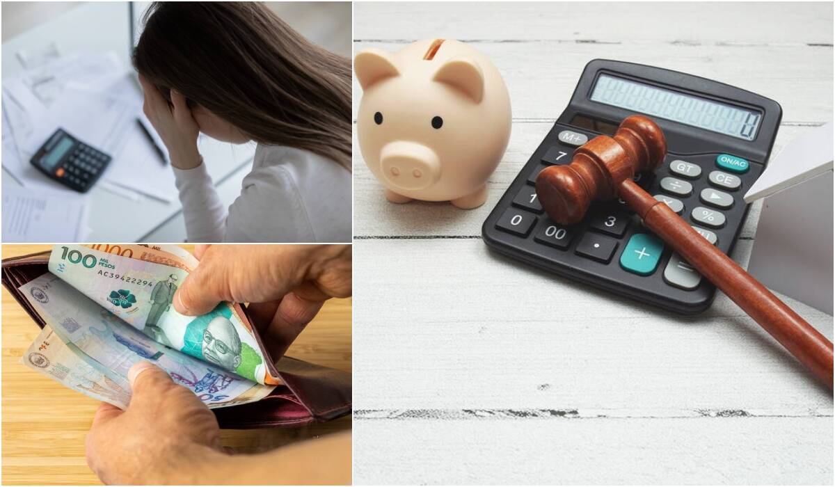 Proceso para verificar si ha sido embargado y así evitar caer en ...