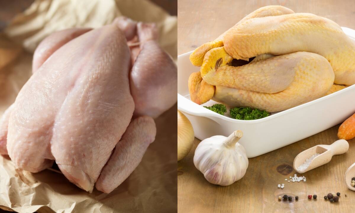 ¿Por qué hay pollo amarillo y pollo blanco? ¿Cuál es mejor?