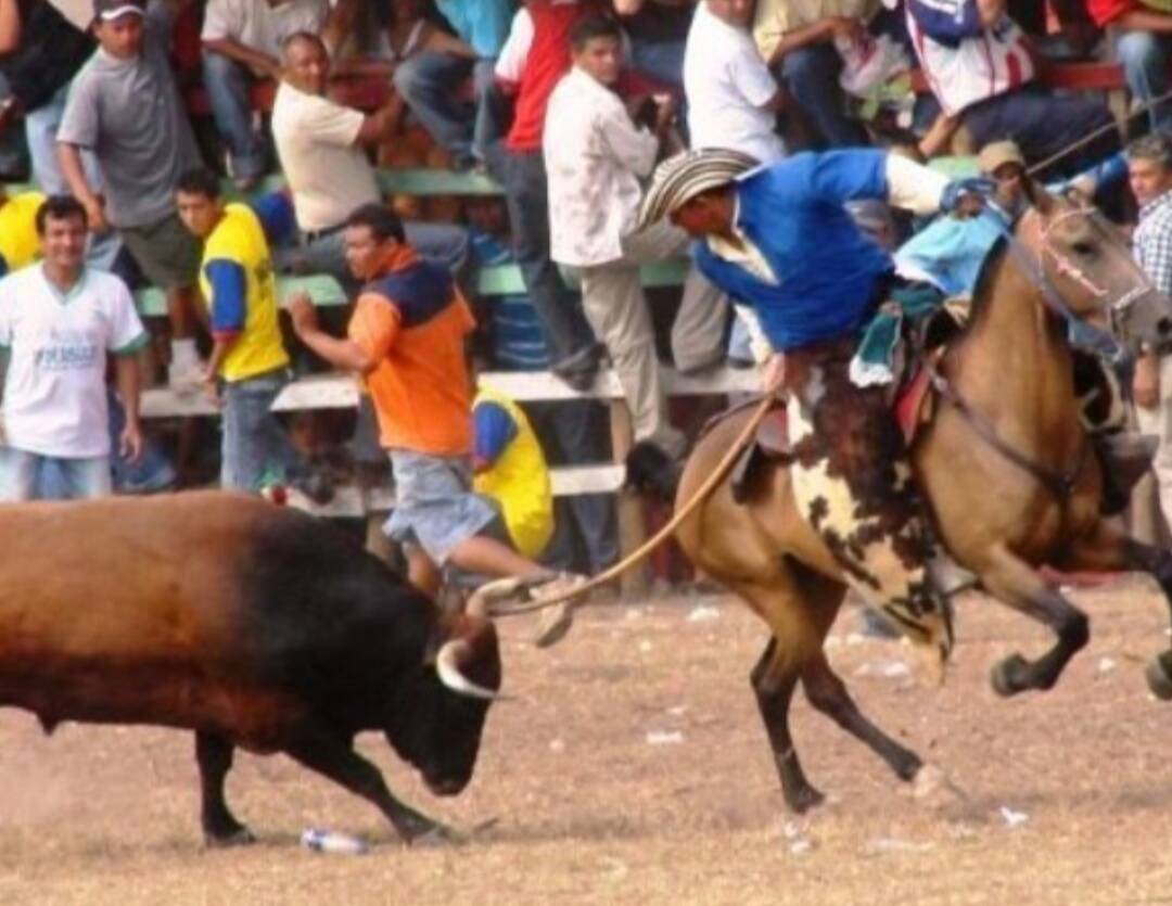 El pueblo aprueba las Fiestas en Corralejas de Sincelejo 2024