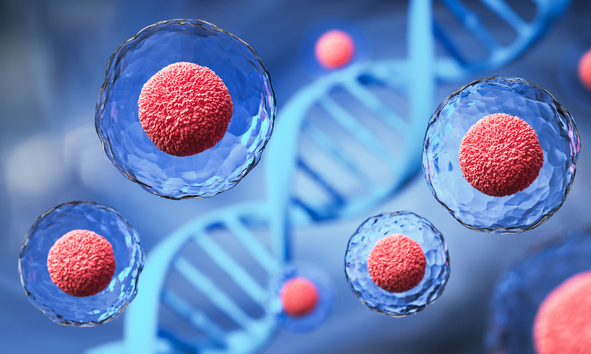 Células madre: ¿cómo se obtienen y para qué se usan contra el cáncer?