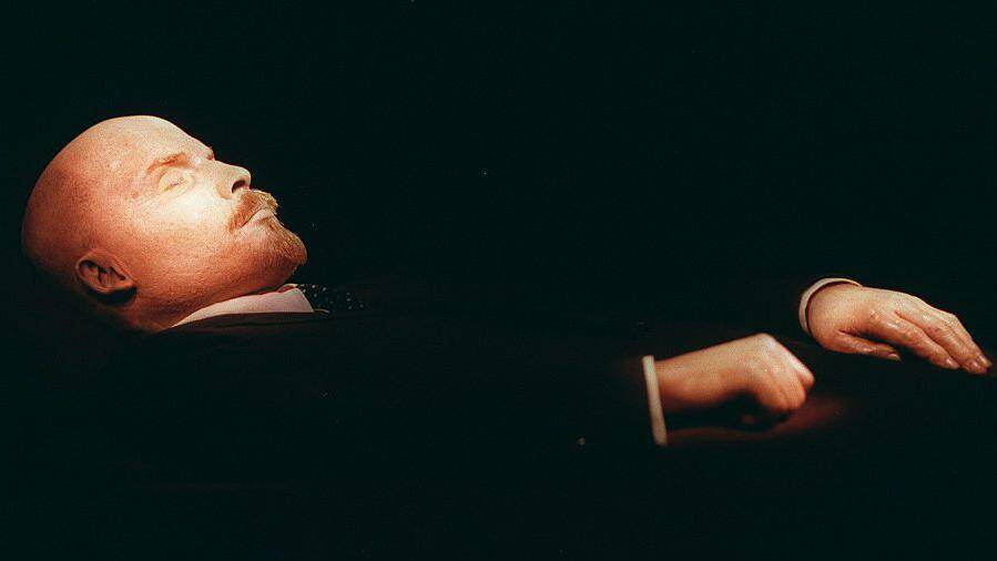 Conservado en formol y cortado en 30.000 rebanadas: lo que pasó con el ...