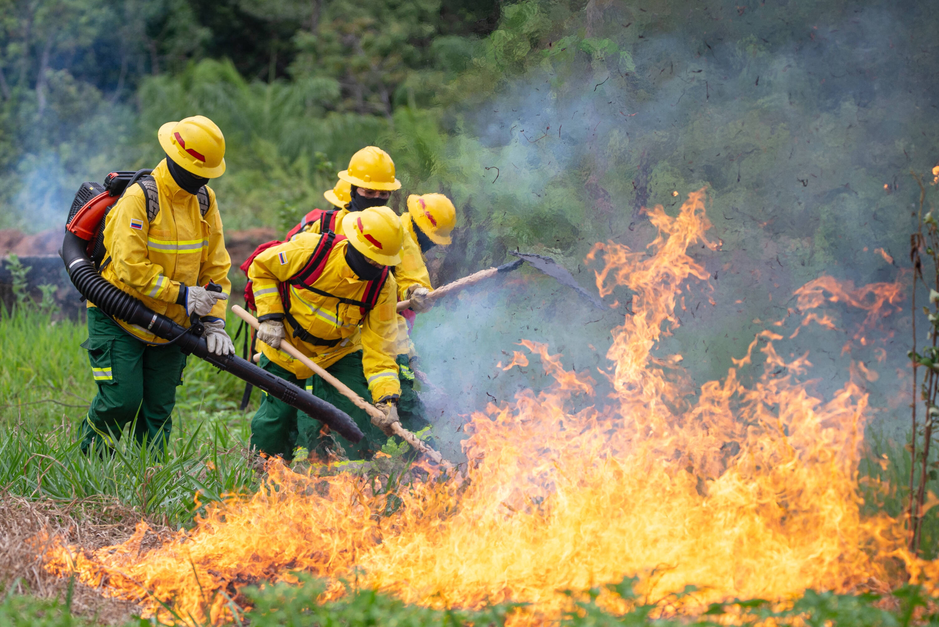 ¿Por qué hay tantos incendios forestales en Colombia y el mundo?