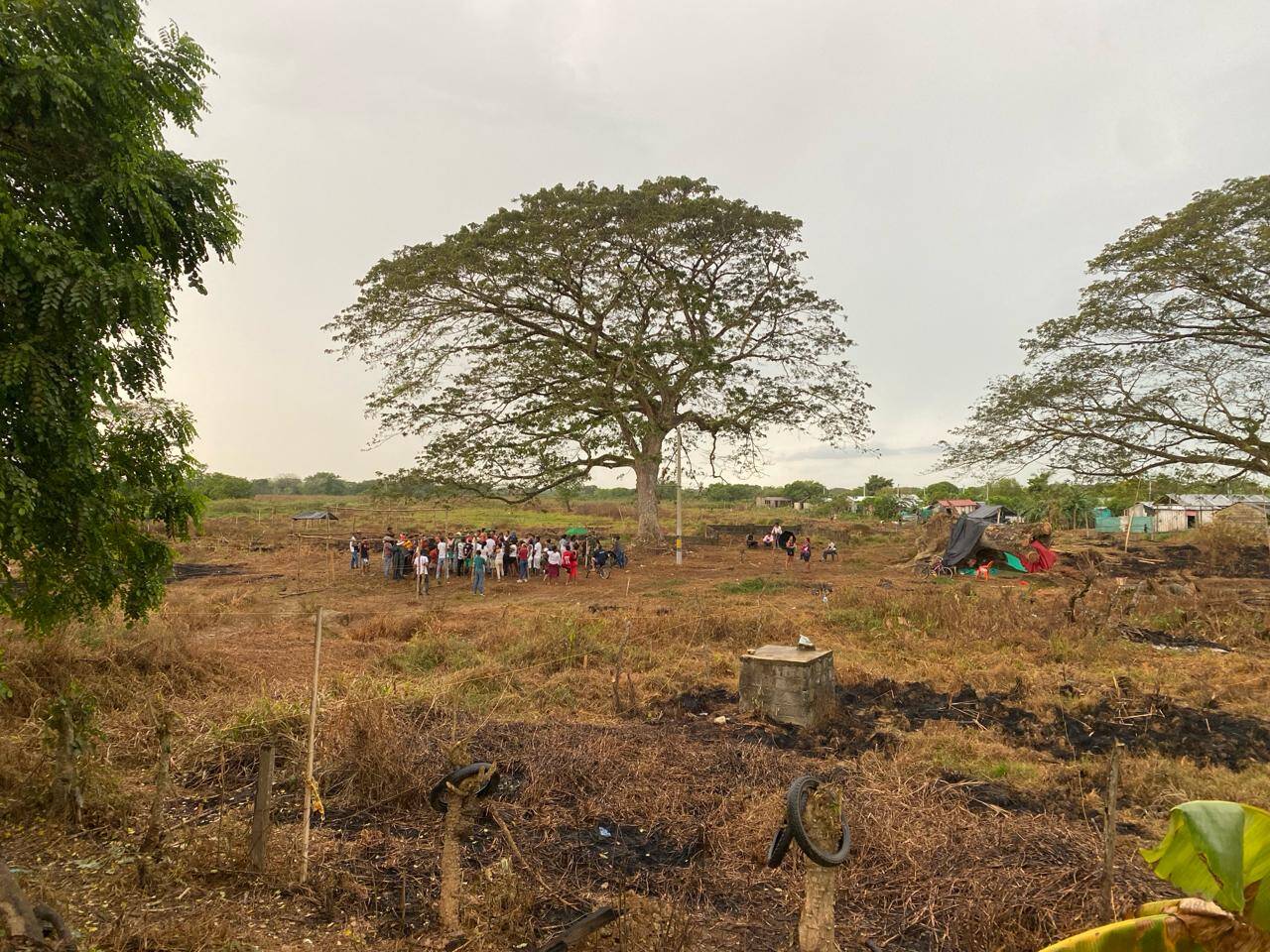 Antioquia: recuperan cuatro predios que habían sido invadido en Nechí