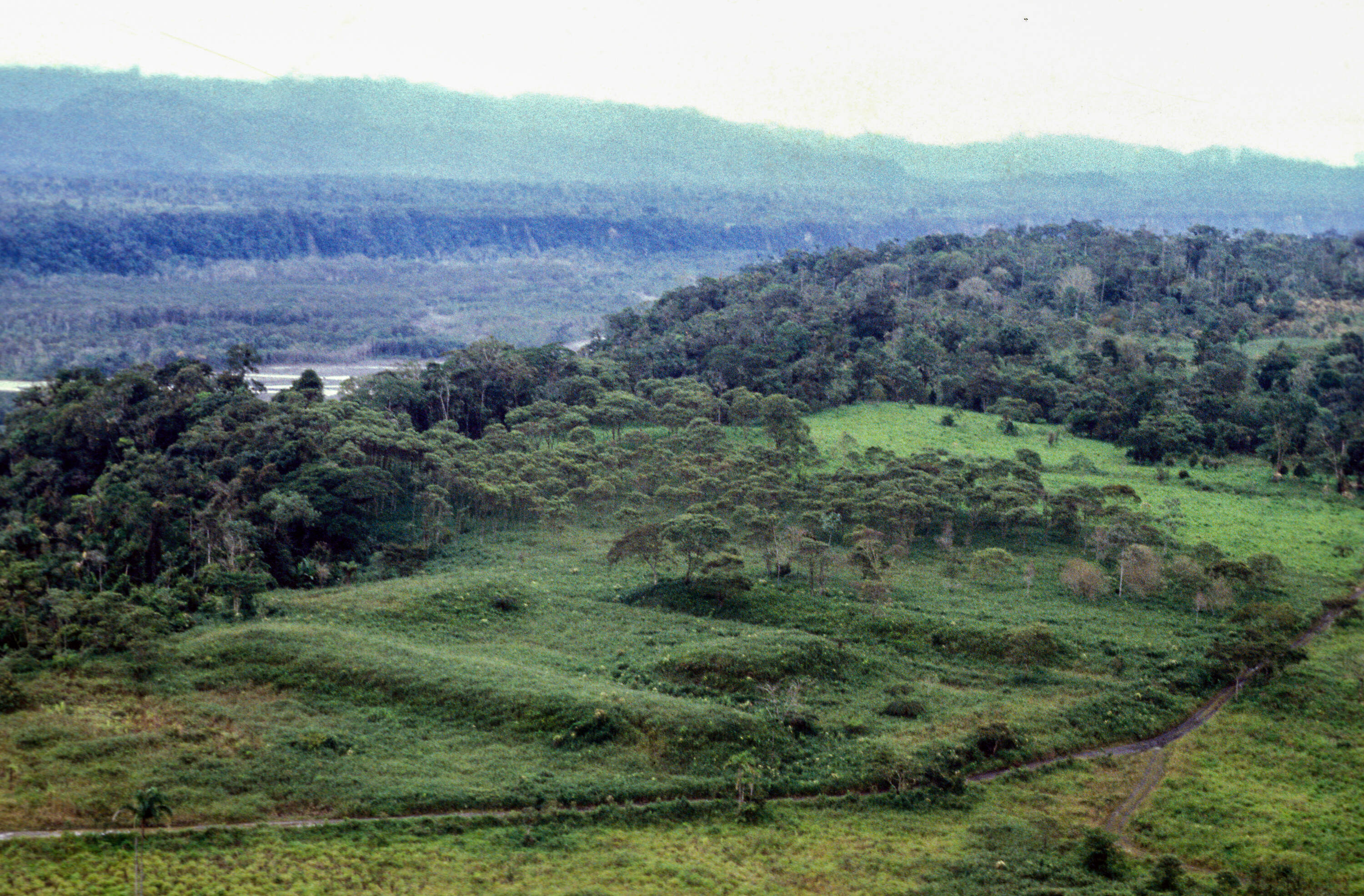 Amazonia: hallan restos de ciudades antiguas en esta selva tropical
