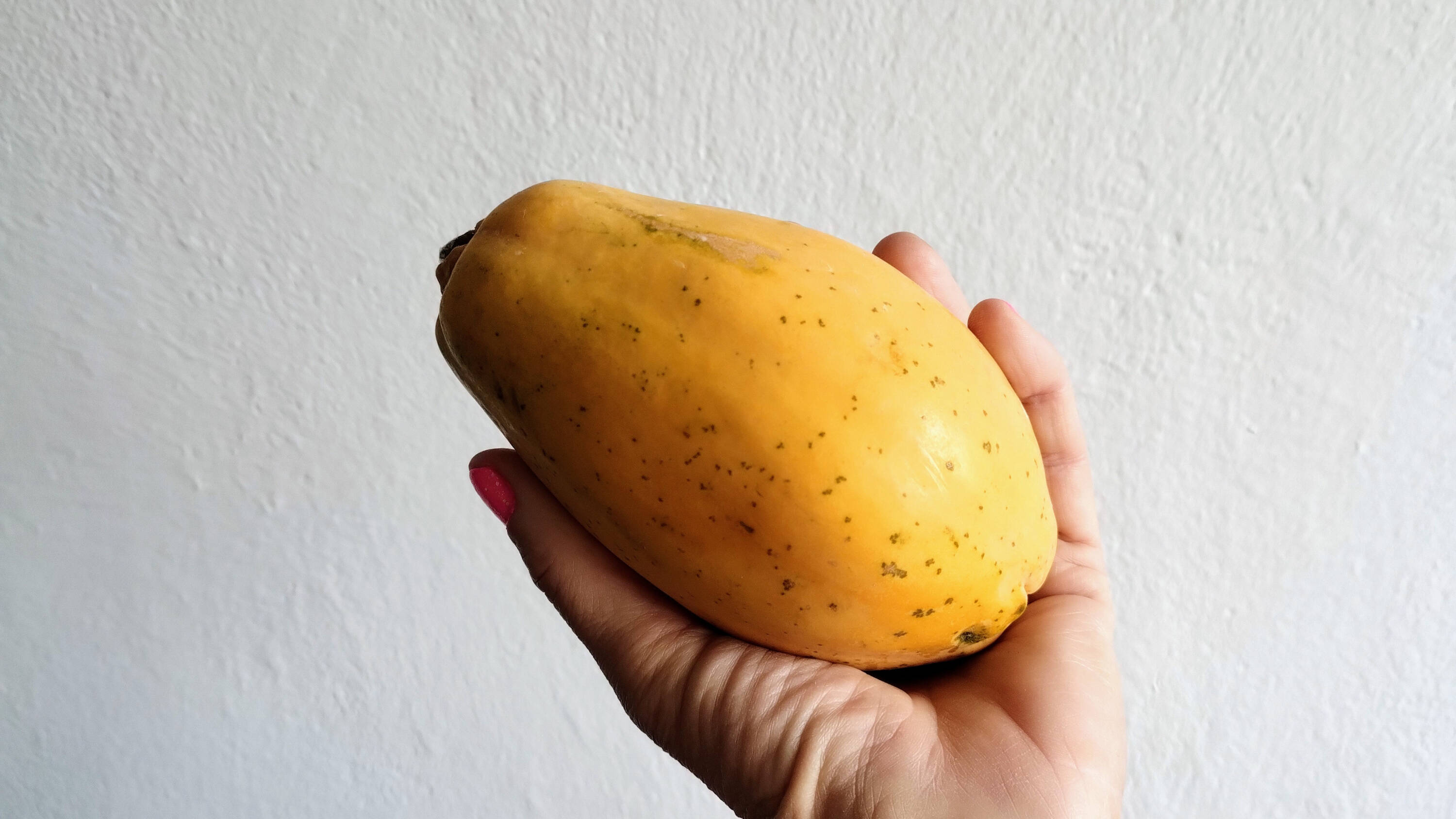 Lúcuma: la fruta ancestral y poco conocida que tiene grandes beneficios ...