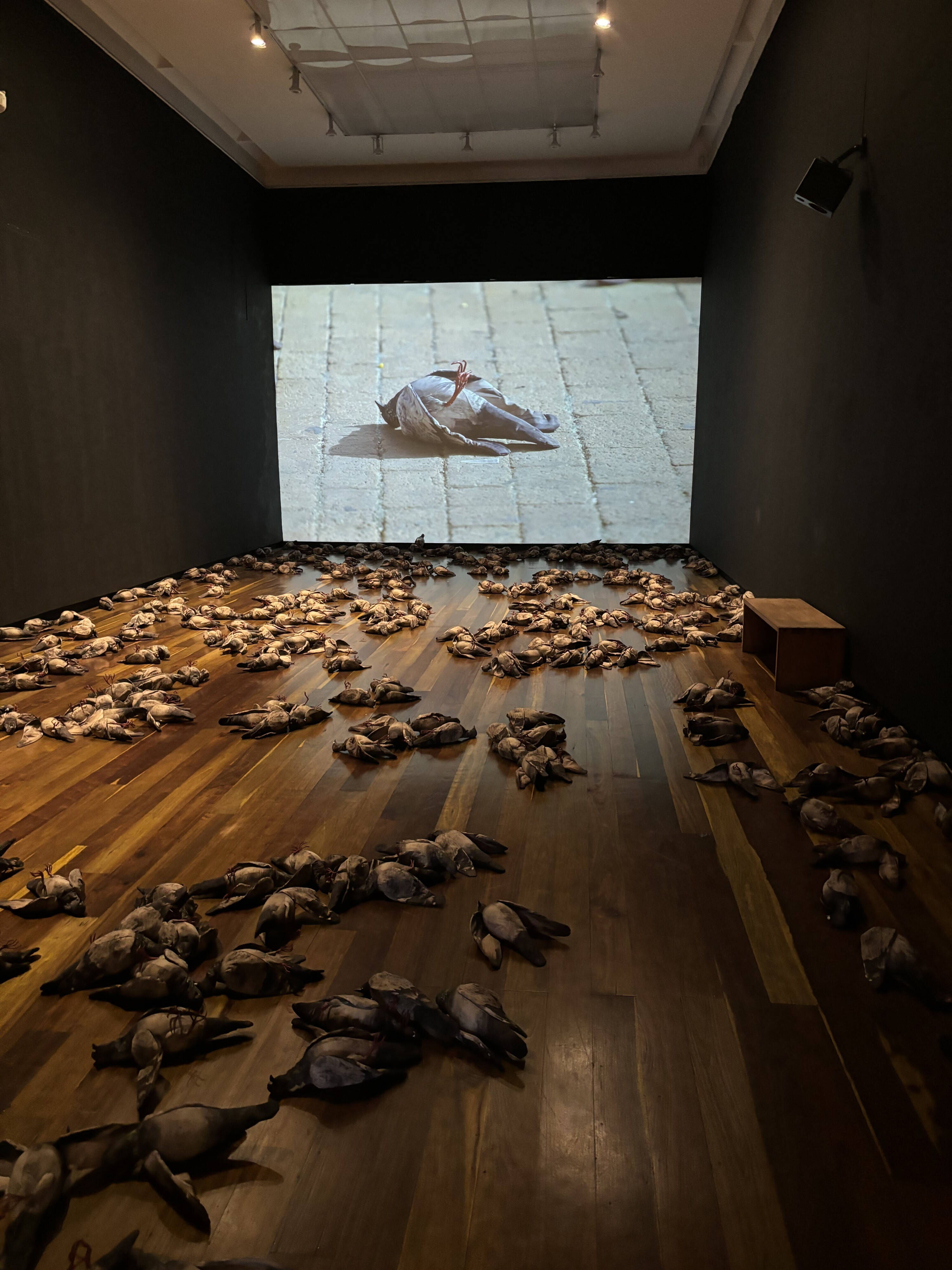 Ruby Rumié: La mujer que mató 500 palomas