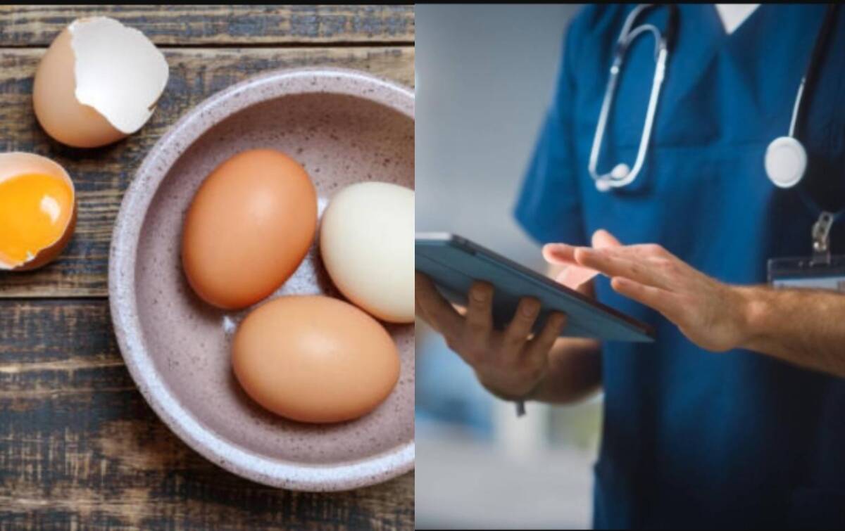 ¿Se puede comer huevo con colesterol alto? Expertos explican este mito ...