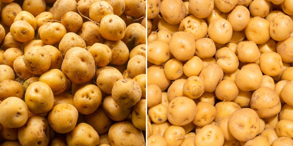 Receta fácil de papas capira al ajillo: así puede prepararlas en casa ...