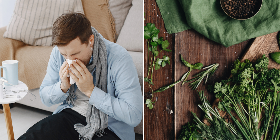 Estas son las siete hierbas que le podrían ayudar a combatir el ...