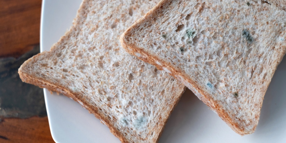 Lo que le pasa a su cuerpo si se come un pan con moho por error: ojo ...