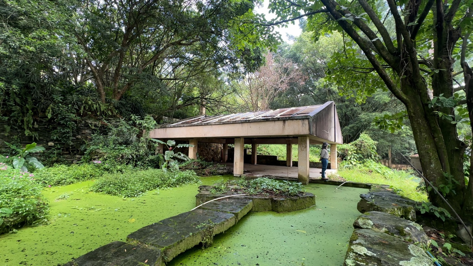Medellín: Montecasino, casa de los Castaño, servirá para la ...