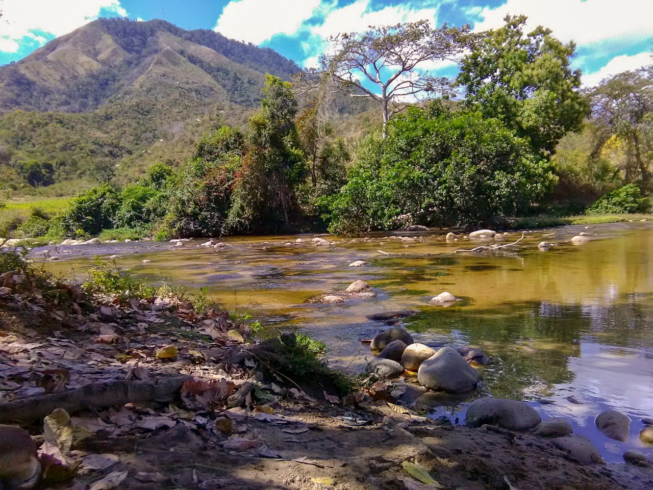 Declaran nueva área protegida regional en La Guajira: Caracolí Sabanas ...