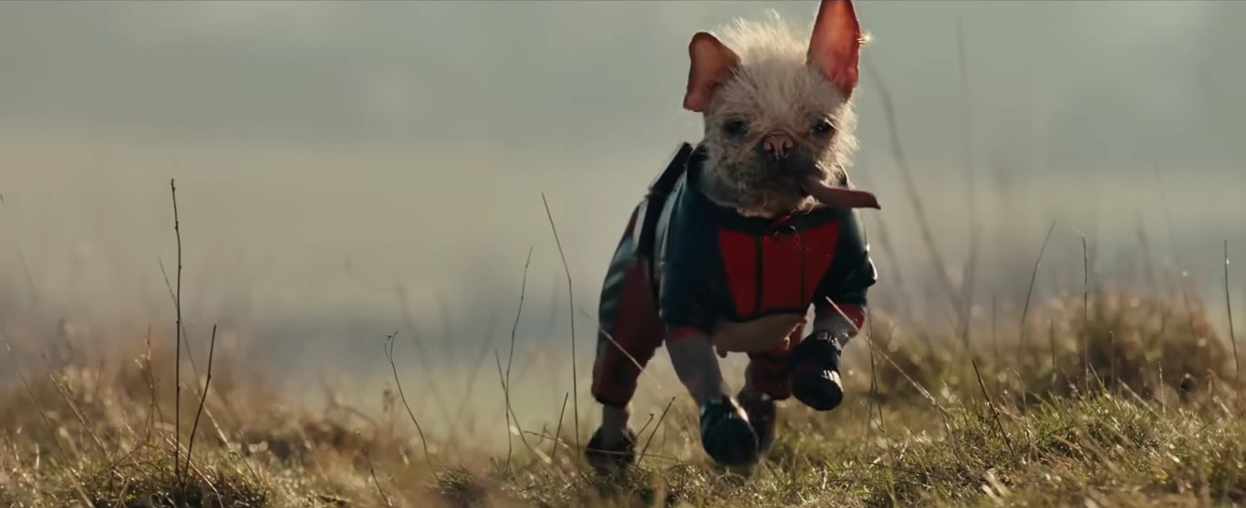 'Dogpool': ¿quién es el perro que debutará en Deadpool y Wolverine, que ...